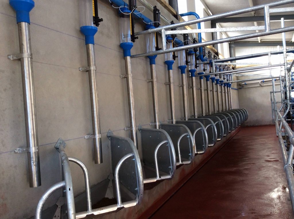 In Parlour Batch Feeders – Cookstown Dairy Services