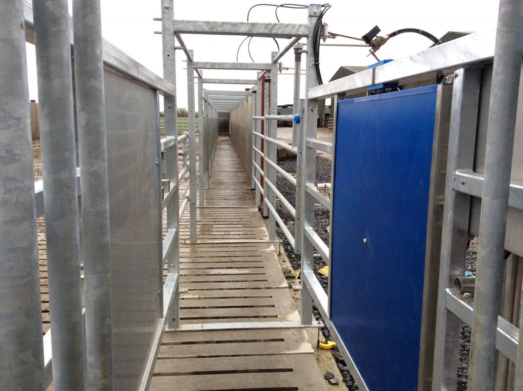 Auto Drafting – Cookstown Dairy Services