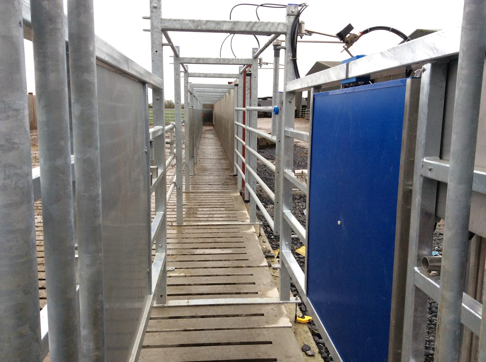 Automatic Drafting – Cookstown Dairy Services