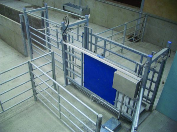 Auto Drafting – Cookstown Dairy Services