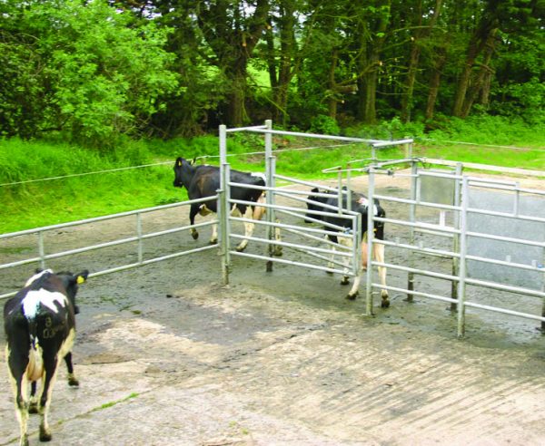 Auto Drafting – Cookstown Dairy Services