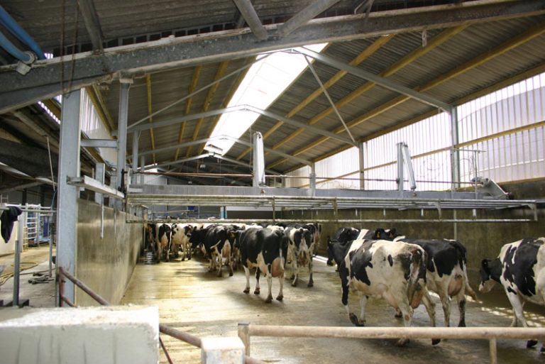 Scraper Backing Gate – Cookstown Dairy Services