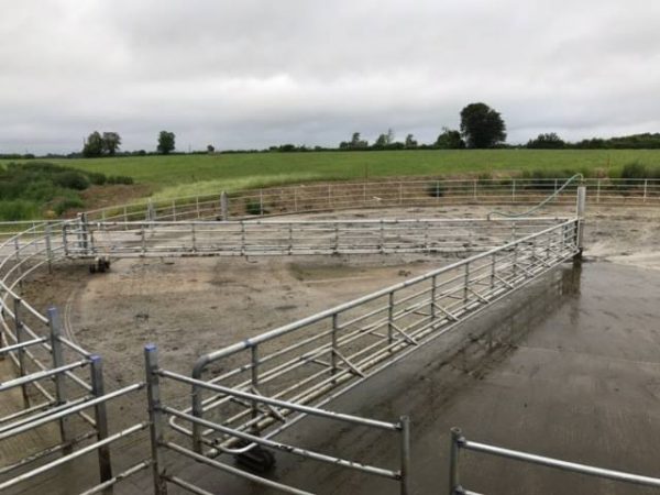Circular Backing Gate – Cookstown Dairy Services
